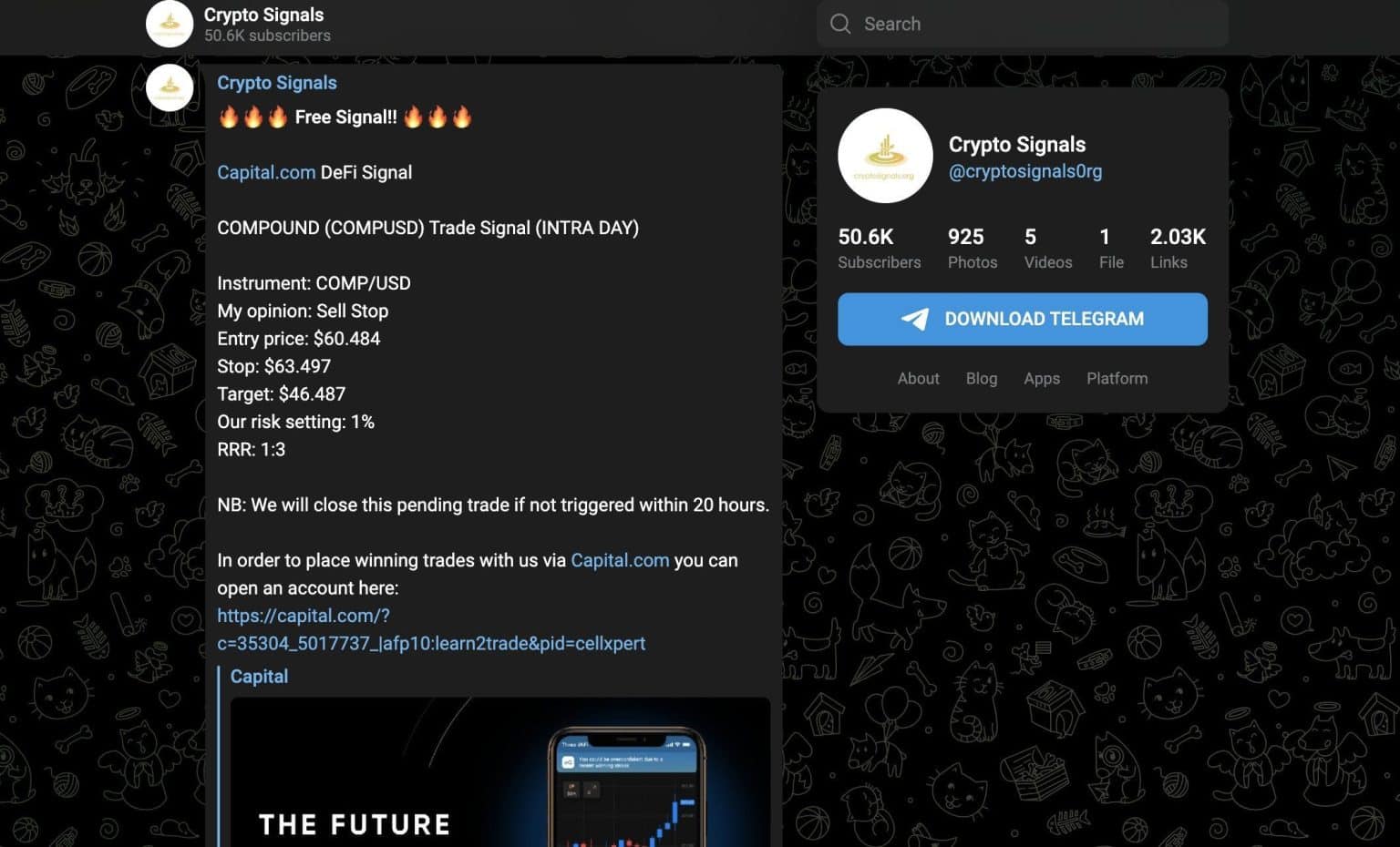 Melhores grupos de Telegram sobre criptomoedas para acompanhar em 2025